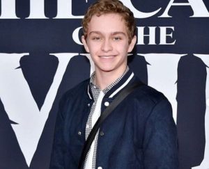 Gavin Lewis Wiki, Age, Height, Weight, Biography & Family