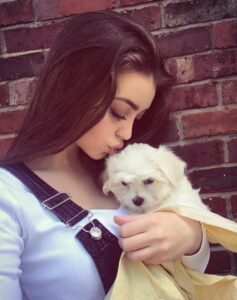 Chloe Rose (TikTok Star): Wiki, Biography, Age, Boyfriend, Family ...