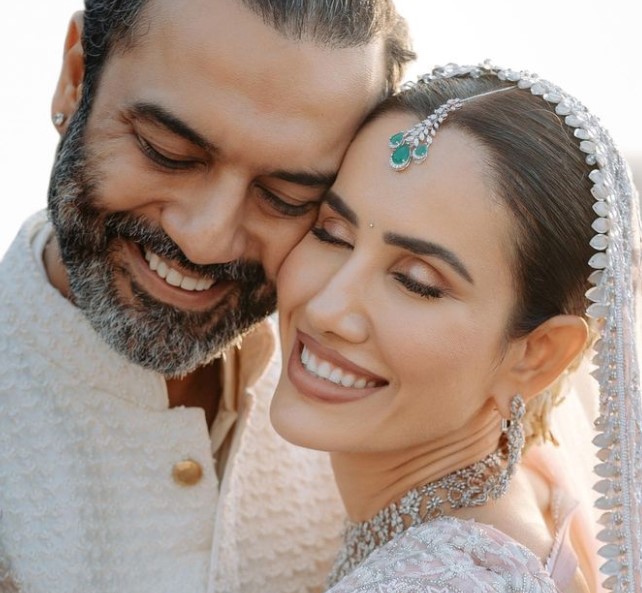 Ashesh Sajnani (Sonnalli Seygall's Husband) Wiki, Biography, Profession ...