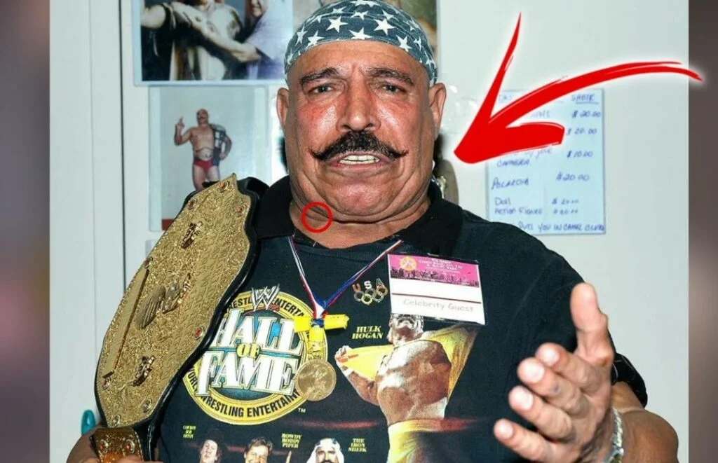 Caryl Vaziri Wiki: Age of Iron Sheik's Wife, Daughters, Profession ...